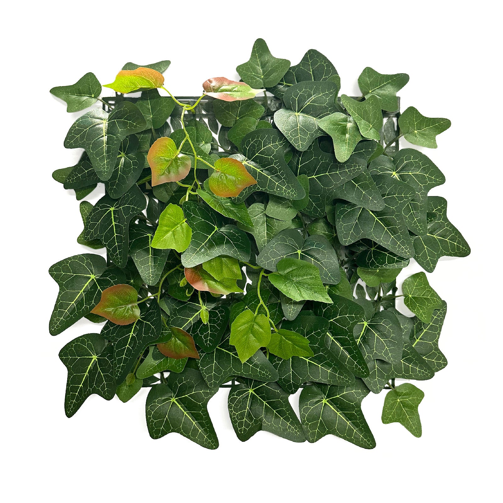 Plantevæg | Ivy | Langtidsholdbar kunstig plante med efeublade til mod